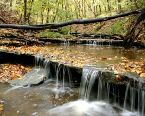 Best Cincinnati Fall Foliage | LeafGuard® of Cincinnati