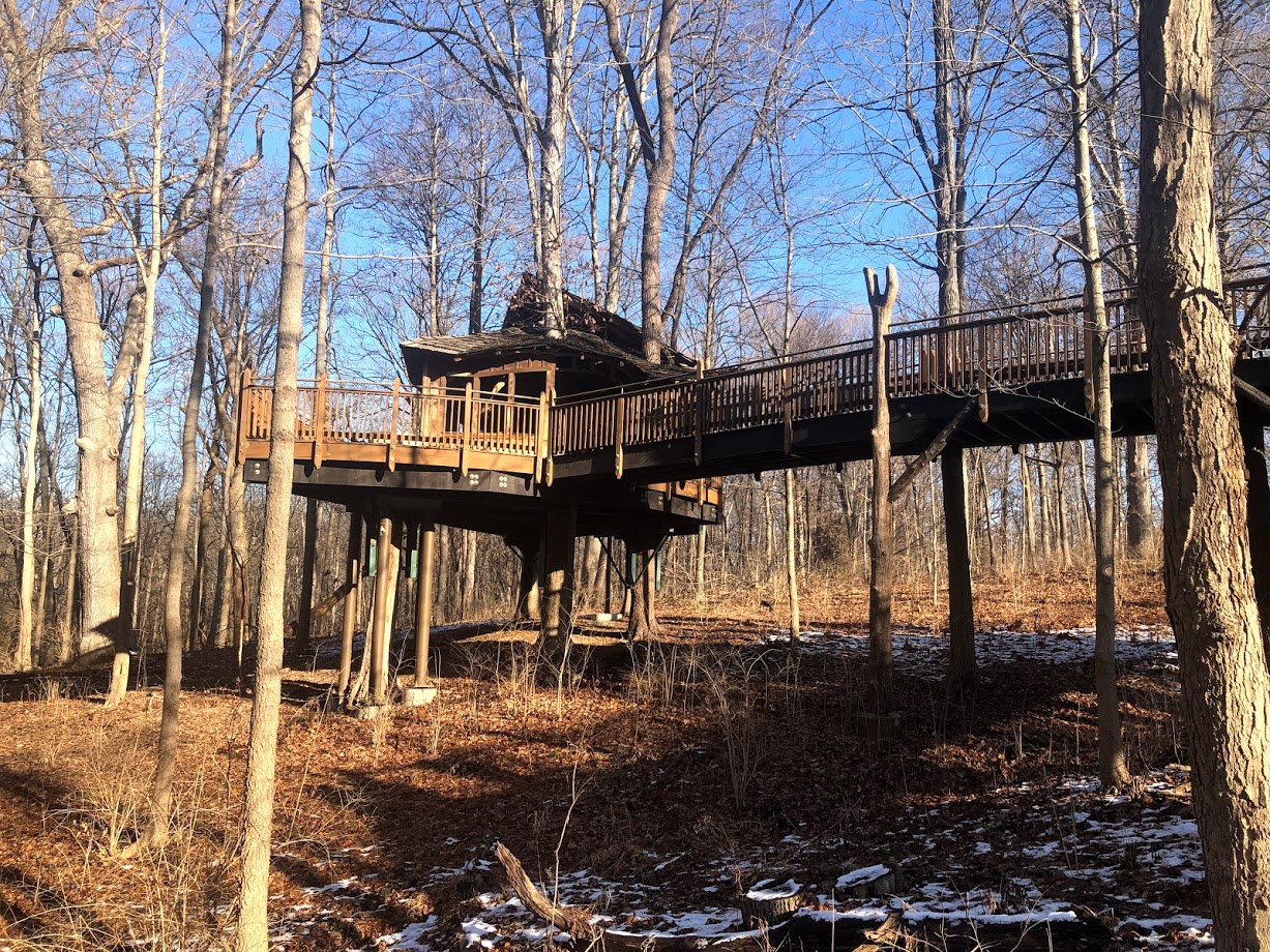 Best Cincinnati Fall Foliage | LeafGuard® of Cincinnati